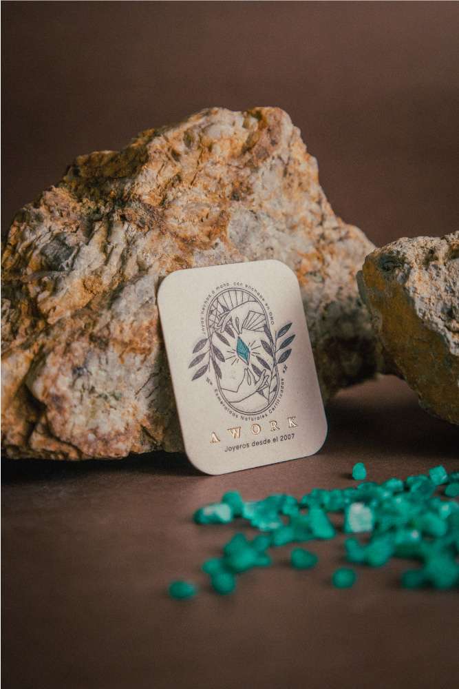 Branding work by Erickse branding studio